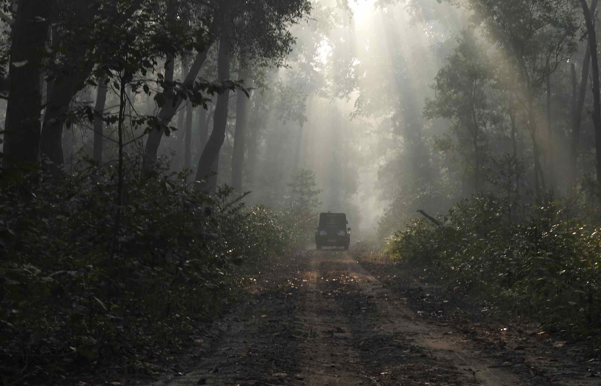 Wild Wonders of North India - Indian Nature Tours